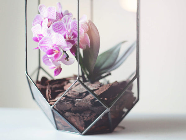 Geometric Orchid Planter | Geometric Candle Holder by Waen
