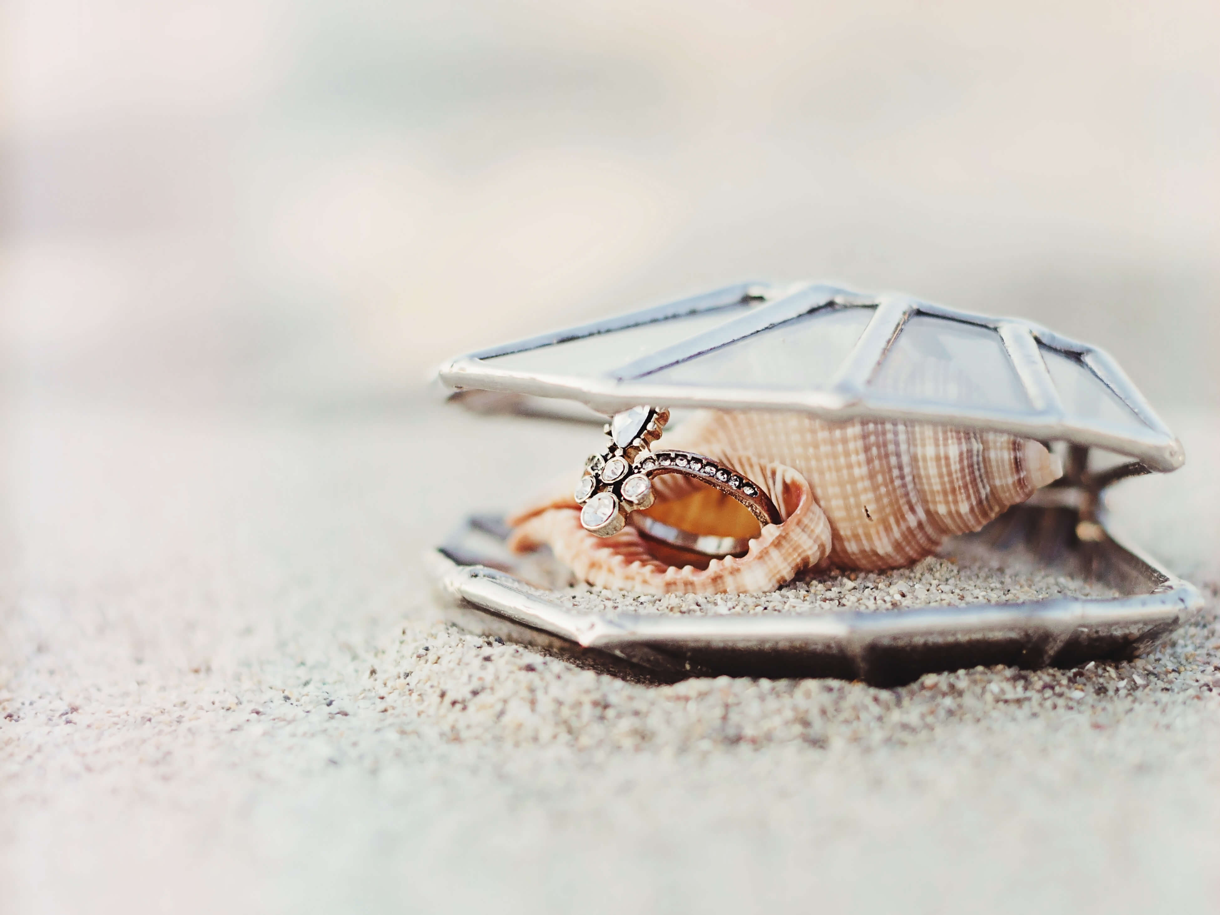 Seashell Ring Box | Beach Wedding Decor by Waen